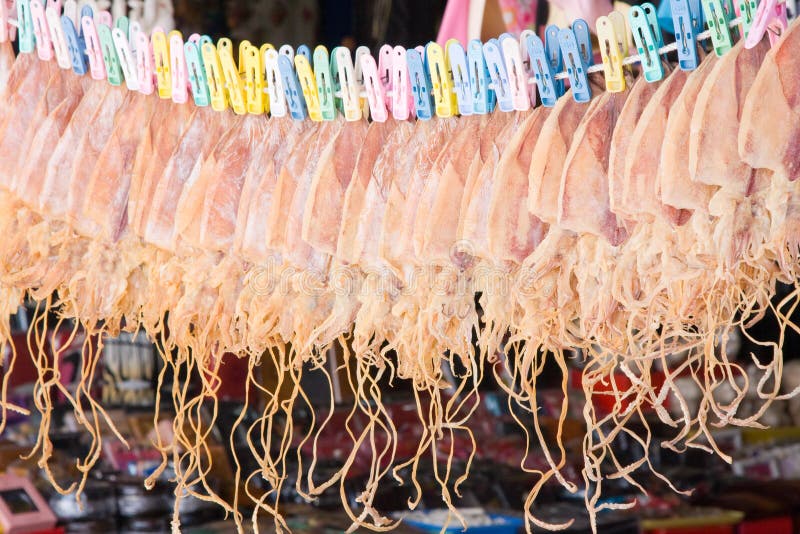 Dried squid stock image. Image of preparation, closeup - 11505441