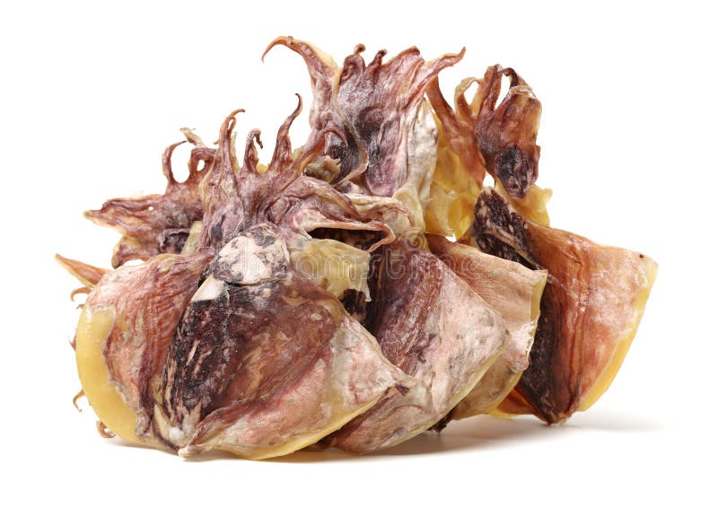 Dried Squid. Protein, Isolated. Stock Photo - Image of food, horizontal ...