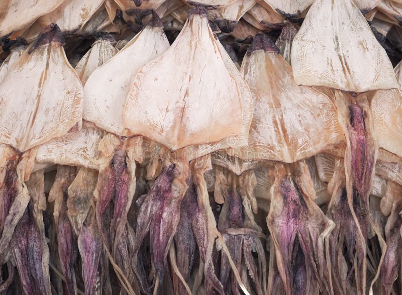 Squid Skin Texture Stock Photos - Free & Royalty-Free Stock Photos from ...