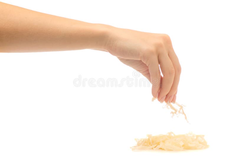Dried squid in a hand stock photo. Image of gourmet - 104316348