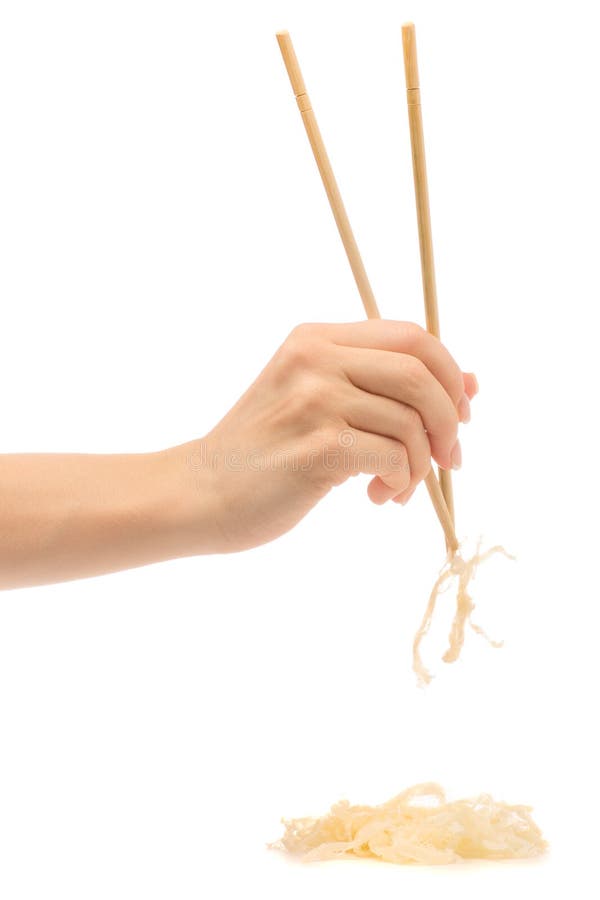 Dried squid in a hand stock image. Image of cuttlefish - 104314727