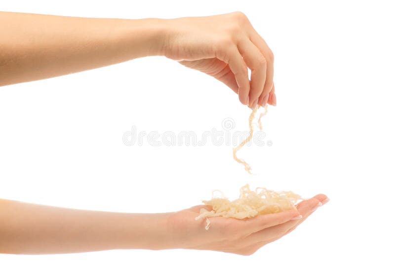 Dried squid in a hand stock image. Image of market, healthy - 104314743