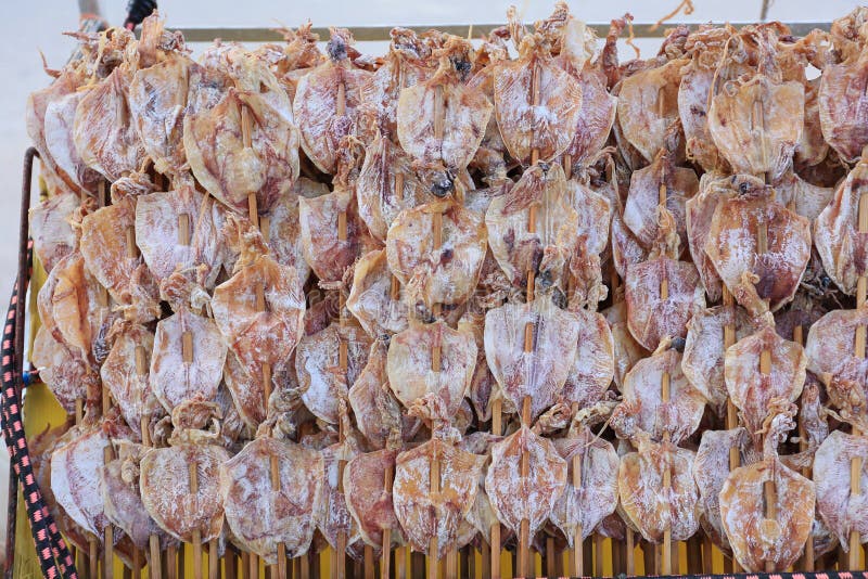 Dried squid stock image. Image of delicacy, food, fish - 63626161