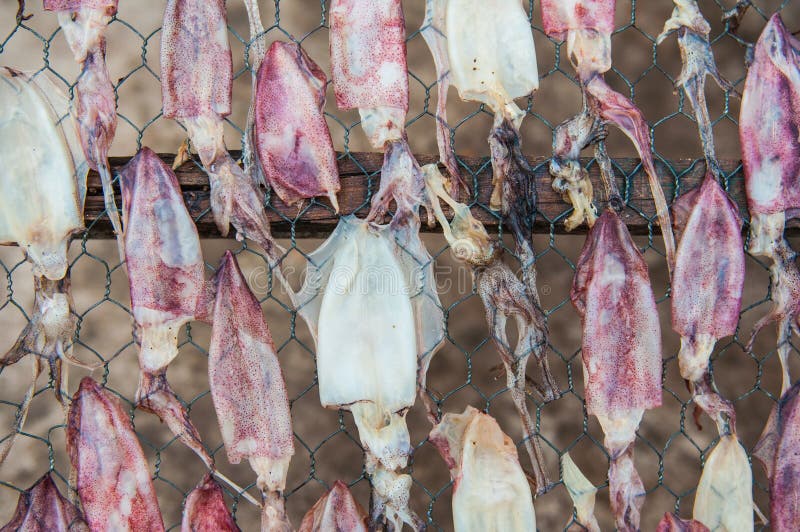 Dried squid stock photo. Image of squid, closeup, hanging - 38149688