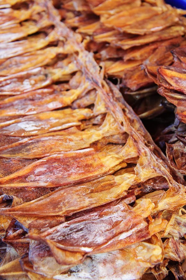 Dried squid stock image. Image of brown, delicacy, fisherman - 32843061