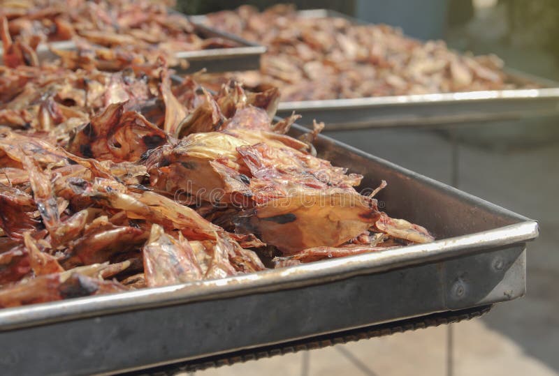 Shrimp Drying in the Sun in a Floating Village Stock Image - Image of ...