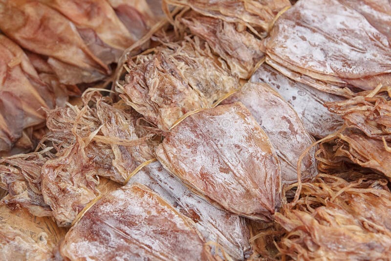 Dried Squid,squids Drying in the Sun Stock Image - Image of seafood ...