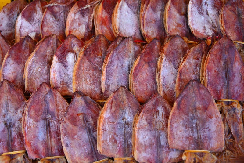 Dry Squid texture. stock image. Image of invertebrate - 16313345