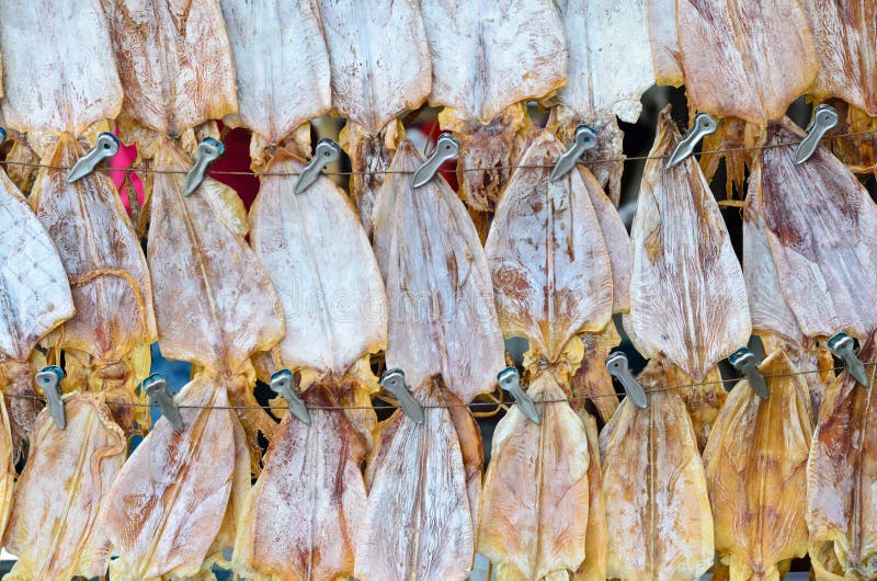 Dried Squid in Thai Local Market Stock Photo - Image of marine, cook ...