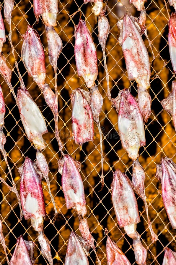 Dried Squid, Traditional Drying Squid Stock Image - Image of color ...