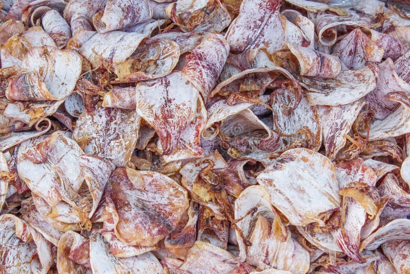 Dried Squid stock image. Image of macro, ingredient, fishy - 67358533