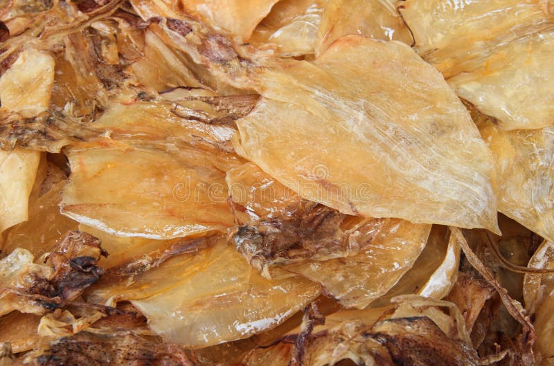Dried squids stock image. Image of pattern, cook, healthy - 19115361