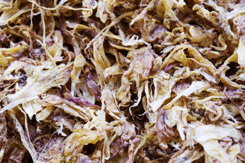 Dried Squids Stock Illustrations – 10 Dried Squids Stock Illustrations ...