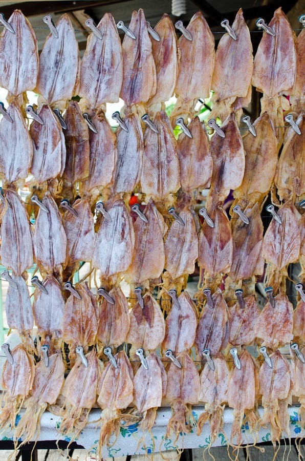 Dried Squids in Row stock photo. Image of asian, healthy - 71343258
