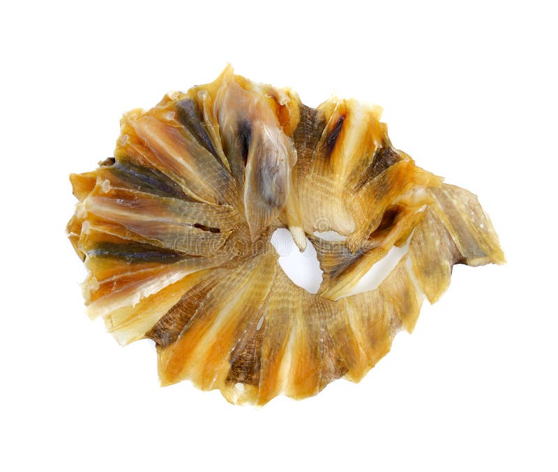 Dried Stingray fish stock image. Image of food, prepared - 94129387
