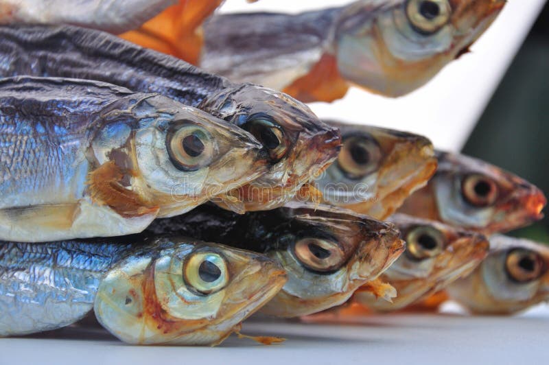 Dried stockfish, stock photo. Image of seafood, macro - 26353662