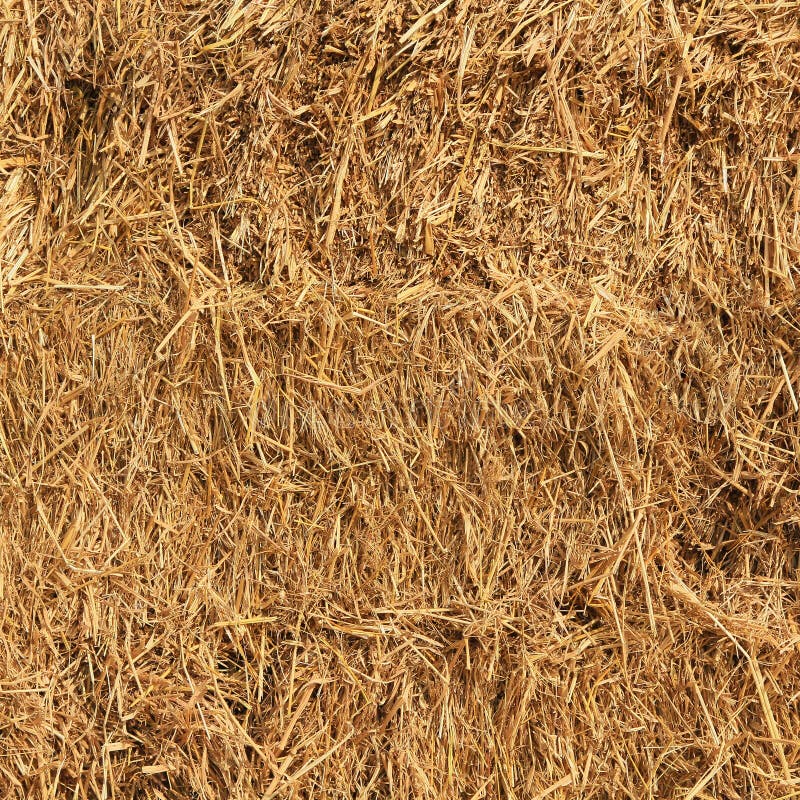 Dried straw stock image. Image of background, nature - 37894057