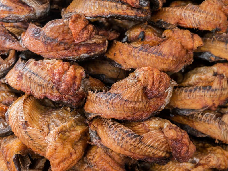 Dried Striped Snakehead Fish Stock Photo - Image of closeup, eating ...