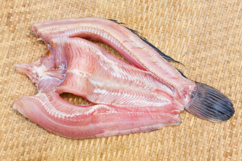 Dried Striped Snakehead Fish Stock Image - Image of dried, thailand ...