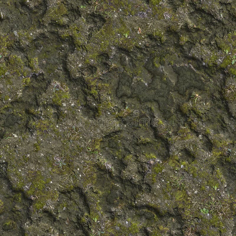 Seamless Texture - Marsh Moss Stock Image - Image of northern, green ...