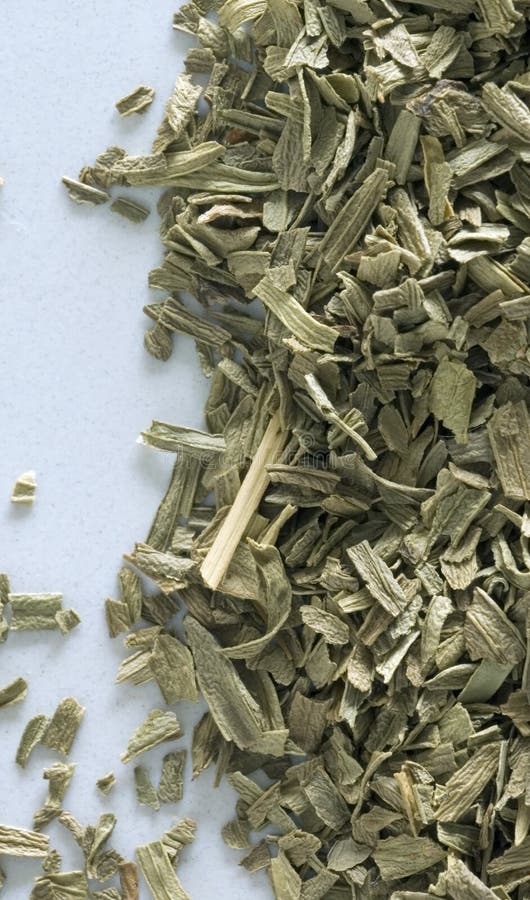 Dried Tarragon stock image. Image of flavoring, spice - 7704415