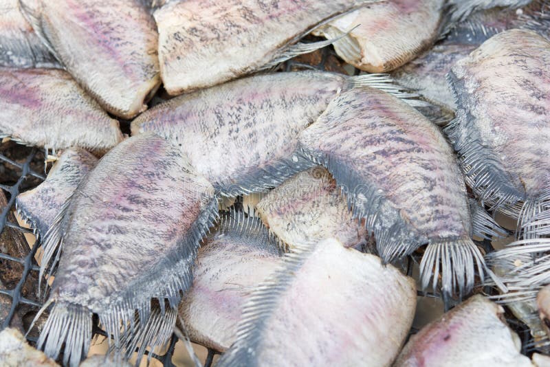 Dried tasty fish stock image. Image of cure, culture - 36194887