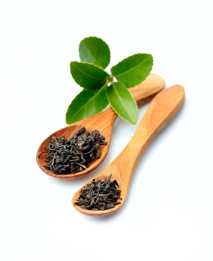 Dried Tea and Fresh Green Leaves Tea Stock Photo - Image of dried ...