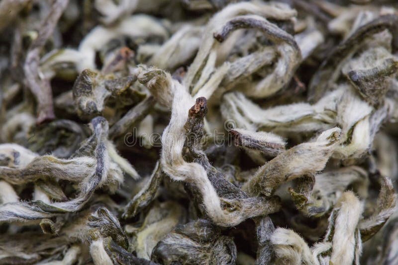 Dried Tea Leaves Closeup As Background Stock Photo - Image of japanese ...