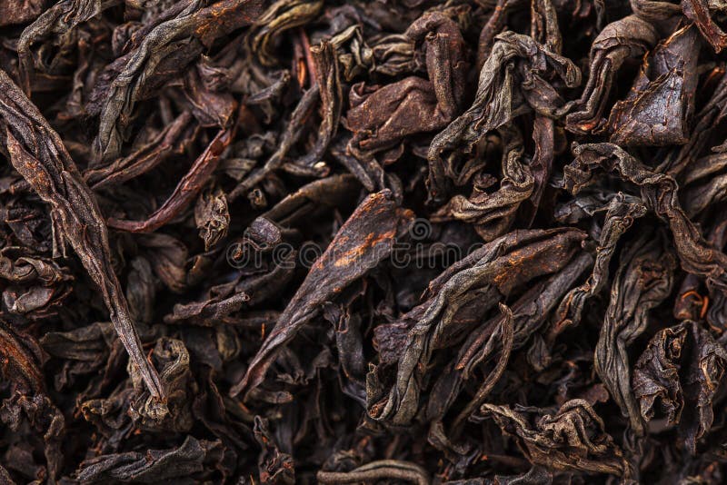 Dried Tea Leaves. Large Leaf Black Tea Stock Image - Image of dynasty ...