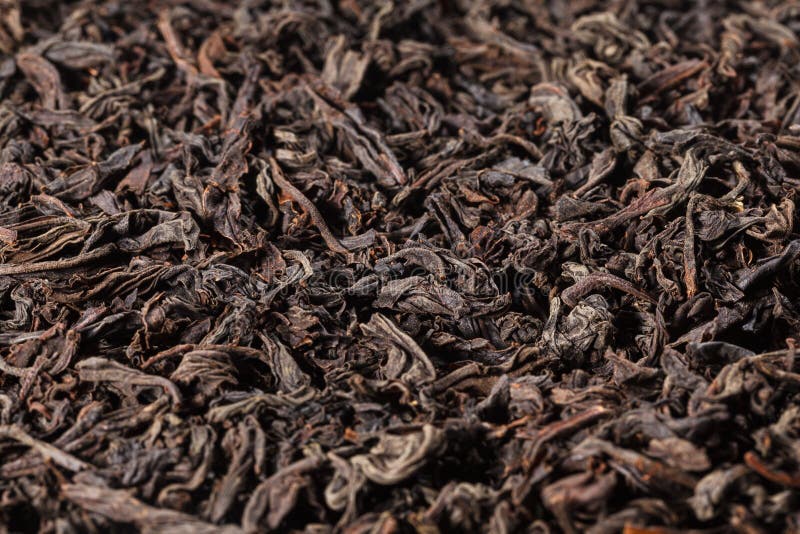 Dried Tea Leaves. Large Leaf Black Tea Stock Photo - Image of east ...