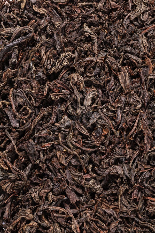 Dried Tea Leaves. Large Leaf Black Tea Stock Photo - Image of english ...