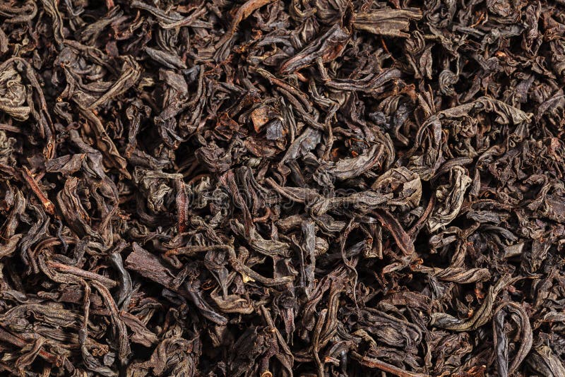 Dried Tea Leaves. Large Leaf Black Tea Stock Photo - Image of drink ...