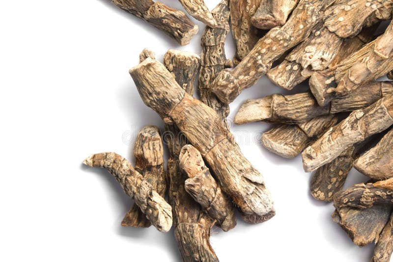 Calamus Root, Calami Rhizoma Stock Photo - Image of nature, flag: 23105604