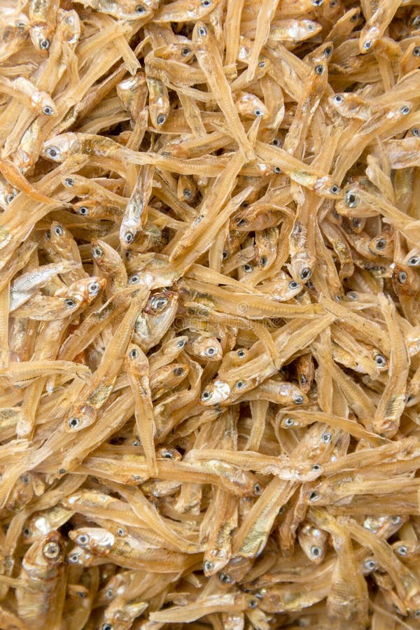 Dried tiny fish stock image. Image of delicious, animal - 28490201