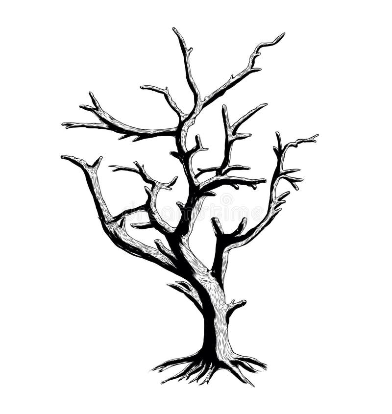 Tree Branches Vector Silhouette Stock Illustrations – 19,301 Tree ... Tree Branches Vector Silhouette Stock Illustrations – 19,301 Tree ...