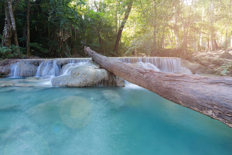 Dried Tree Over Natural Waterfall Stock Image - Image of hiking, green ...