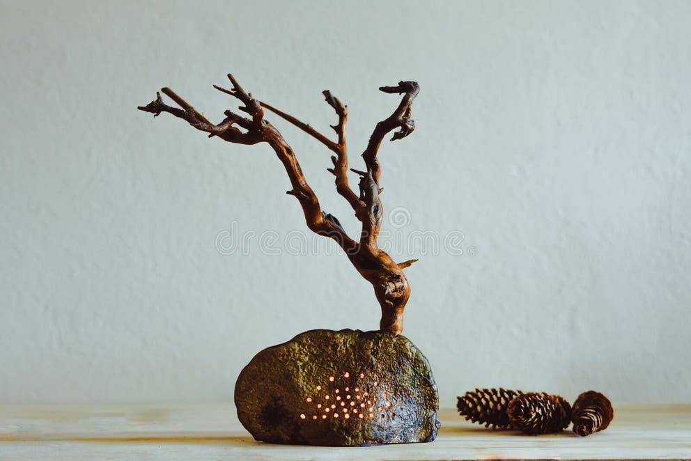 Curve branch decor stock photo. Image of environment - 105384166