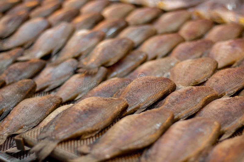 Dried Trichogaster Pectoralis Fish , Sun Dried Fish Stock Image - Image ...