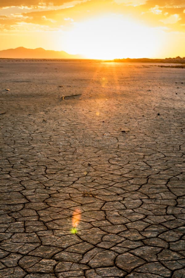 Dried Up Desert Lakebed at Sunset Stock Photo - Image of soil, drought ...