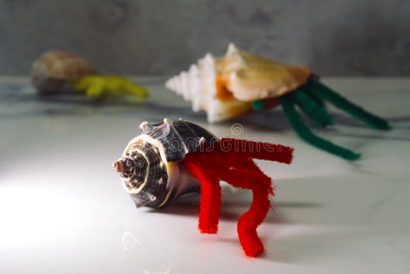 Dried Up Hermit Crabs Concept Stock Image - Image of cute, silly: 238222201