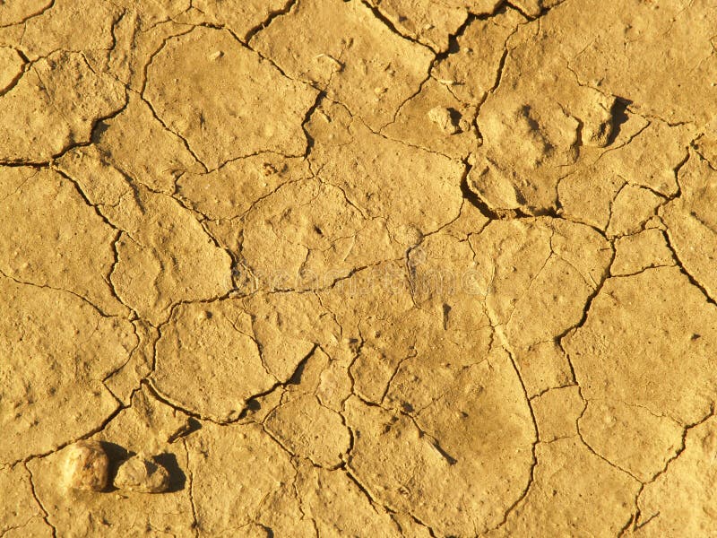 Dried up mud stock photo. Image of surface, dirt, erosion - 18668124
