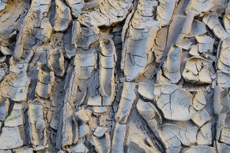 Dried Up Mud Puddle stock image. Image of dried, slot - 161811423