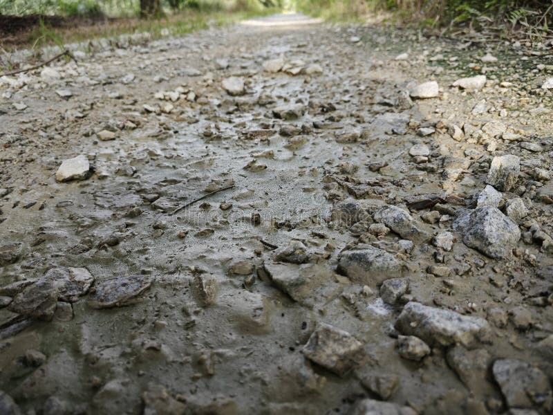 Dried Up Puddle Left with Stones Along the Pathway Stock Photo - Image ...