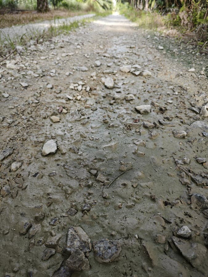 Dried Up Puddle Left with Stones Along the Pathway Stock Photo - Image ...