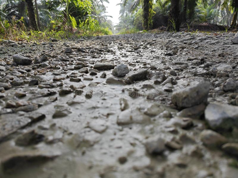 Dried Up Puddle Left with Stones Along the Pathway Stock Photo - Image ...