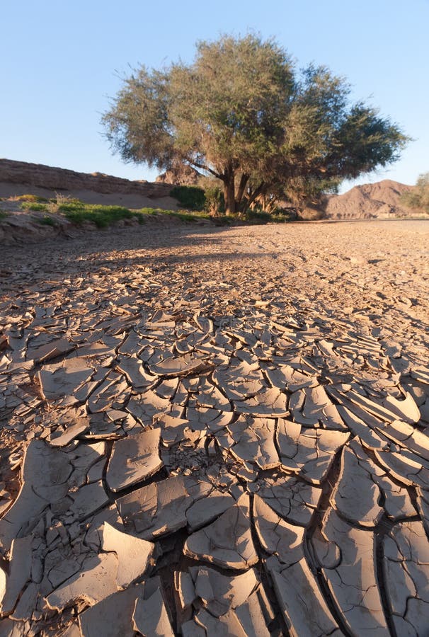 Dried-up River Bed stock image. Image of river, rain - 22625033