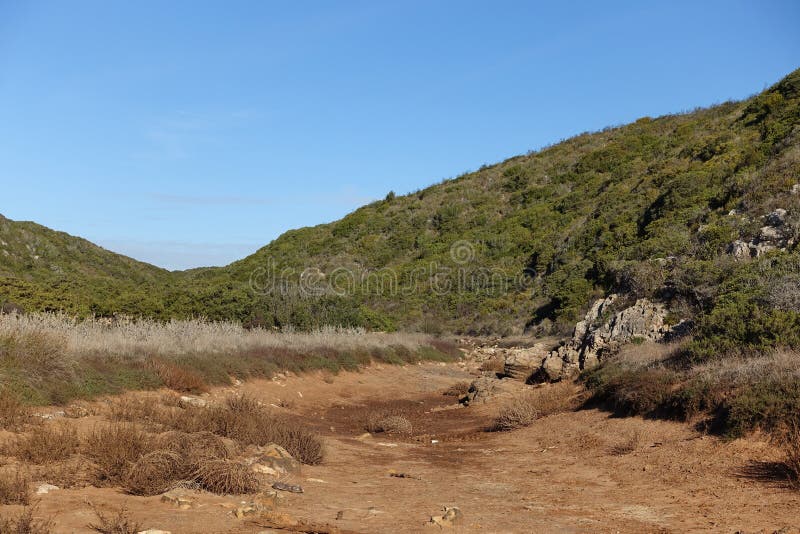 Dried up river bed stock photo. Image of green, scrubland - 107383382