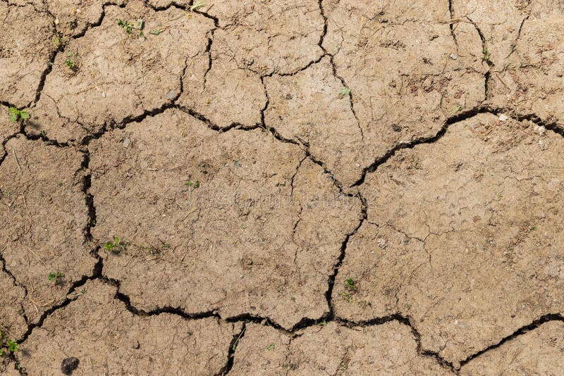Dried up soil stock image. Image of land, texture, drought - 282135295