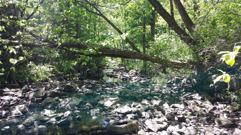 Dried up stream editorial photography. Image of water - 54446542