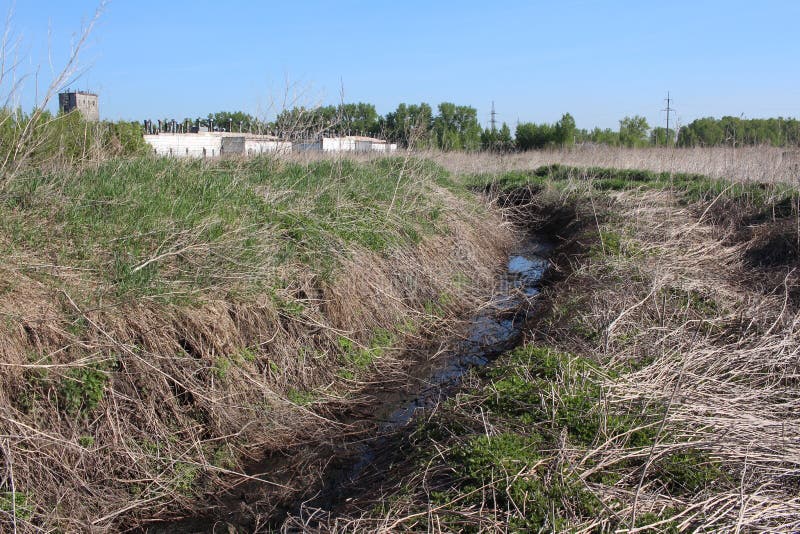 Dried-up Streambed in the Summer in the Grass with Water Stock Image ...